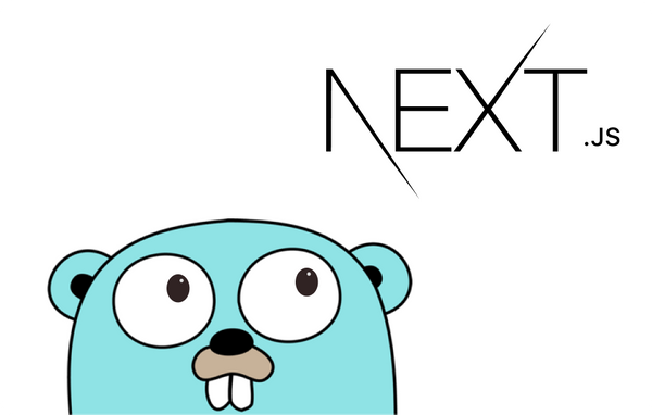 How to use NextJS with Golang